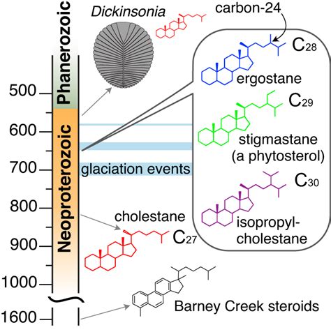 Overview Of The Neoproterozoic Sterane Record The Geologic Timescale Is