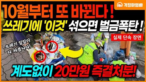 10월부터 쓰레기 봉투에 이것 넣어 버리면 과태료 폭탄입니다 일반 쓰레기 음식물 쓰레기 재활용 쓰레기 분리수거 방법
