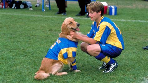 Air Bud World Pup