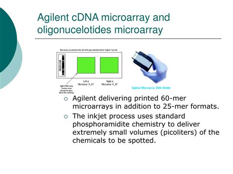 Ppt Microarray Powerpoint Presentation Free Download Id 1284189
