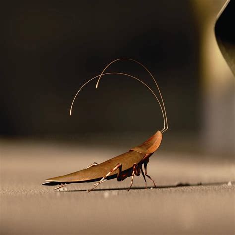 Hal Disney Wiki Fandom