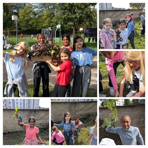Harvest Time In The Primary Garden International School Of Lyon