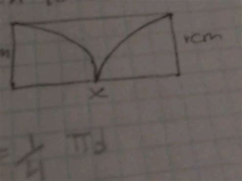 The Image Shows A Rectangle With Two Curves StudyX