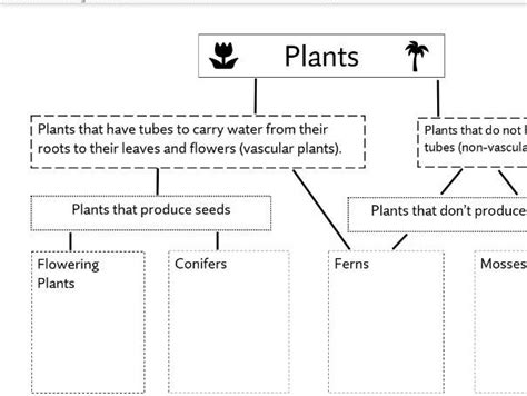 Plant Classification Worksheets Library