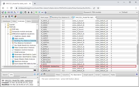 Flux Balance Analysis Biouml Platform