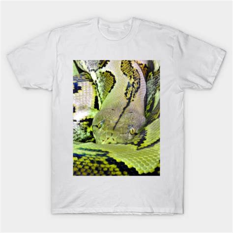 Reticulated Python Reticulated Python T Shirt Teepublic