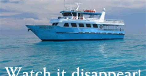 Another Disappearing  Imgur