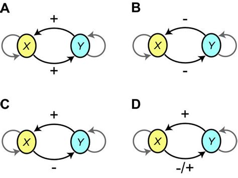 Circuits In Interaction Graphs A Circuit In The Interaction Graph Is A
