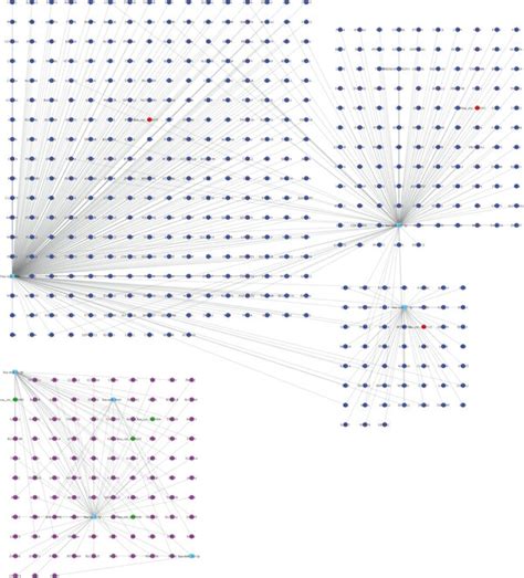 Construction Of Circrna Associated Cerna Network Green Circle Download Scientific Diagram