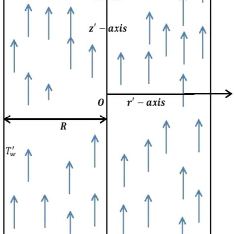 Physical Model Color Figure Can Be Viewed At Download Scientific Diagram