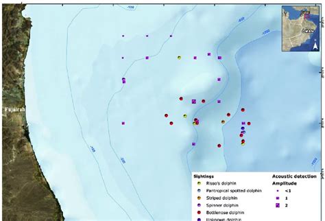 Summary Of Vessel Based Observations And Acoustic Detections Of