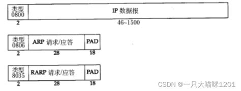 【网络】数据链路层——mac帧协议 arp协议 csdn博客