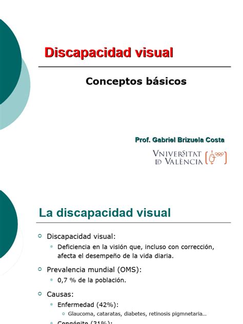 Discapacidad Visual Causas Y Adaptaciones Pdf