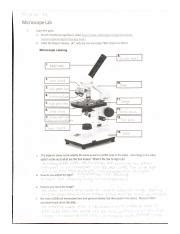 Microscope Lab Basics Parts Lenses And Usage Guide Course Hero