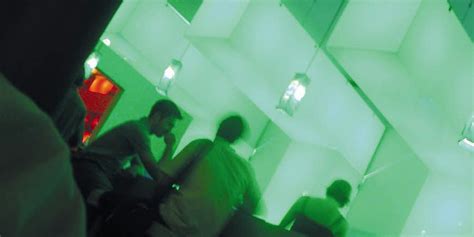 Wissenschaft Eulen Haben Mehr Sex Kölner Stadt Anzeiger