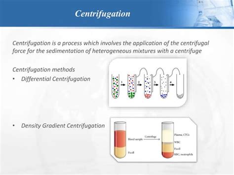 Density Gradient Centrifugation Ppt