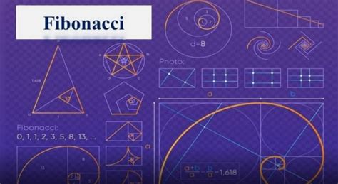 dãy số fibonacci trong tự nhiên chứa đựng nhiều bí ẩn