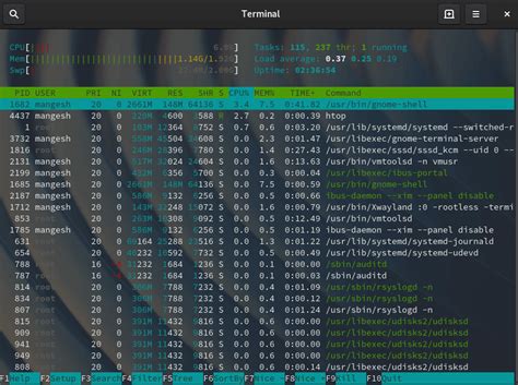 how to install htop linux process monitoring for rhel centos and fedora