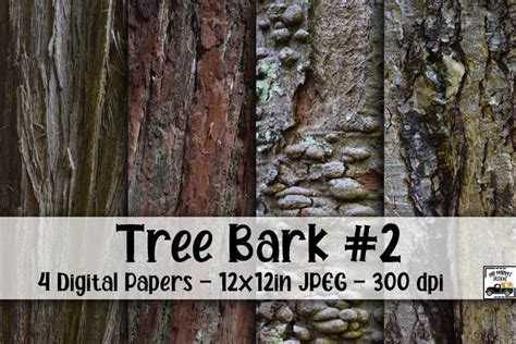 Tree Bark Textures Digital Paper 2 4 Papers