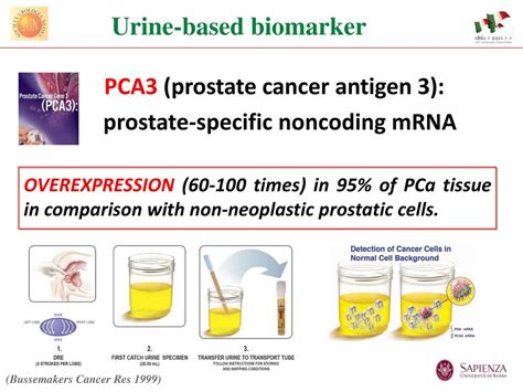 Gian Maria Busetto Sapienza Rome University Ppt Download