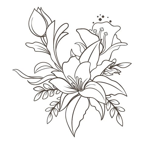 Stargazer Lily Coloring Pages 2025 Stargazer Lily Coloring Pages 2025