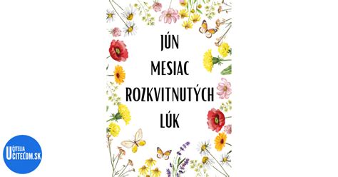 Jún Mesiac Rozkvitnutých Lúk Leto Prírodoveda Učiteliaučiteľom Sk