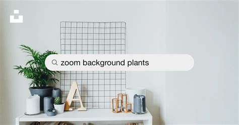 Zoom Background Plants Pictures Download Free Images On Unsplash