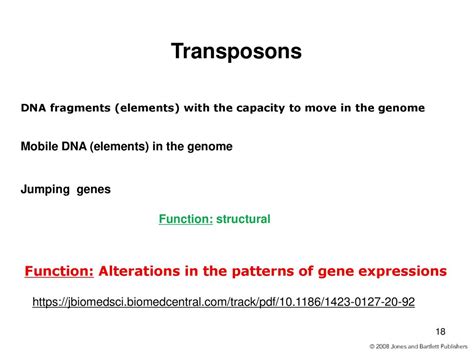 Retroviruses and Trans(retro)posons - ppt download