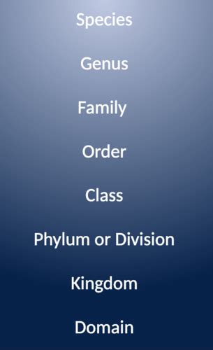 Micro Final Lecture Exam Flashcards Quizlet