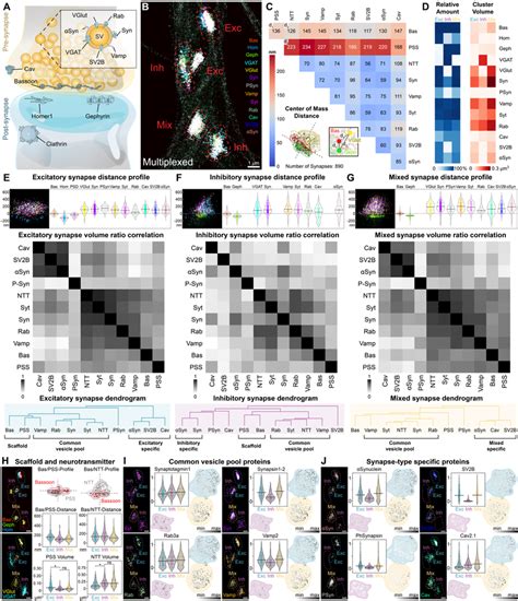 high content feature space analysis enables deep characterization of