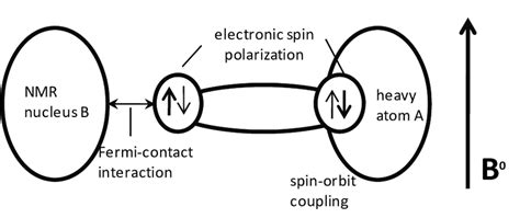 8 Schematic Illustration Of The Spin Orbit Effects On The Shielding Download Scientific Diagram