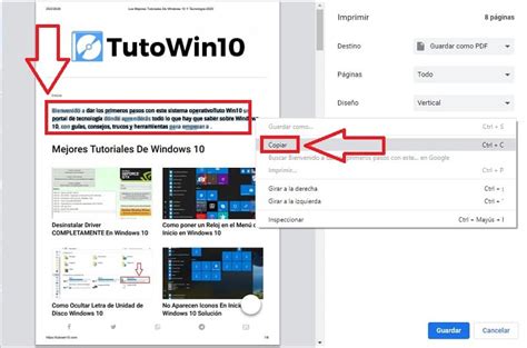 🤔 Como Copiar Texto De Una Página Web Protegida 2025