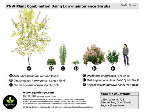 Pnw Plant Combination Using Low Maintenance Shrubs