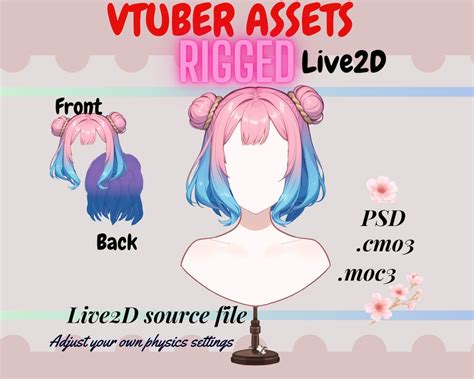 Rigged Ombre Buns Vtuber Hair Asset Live2d Ready Etsy
