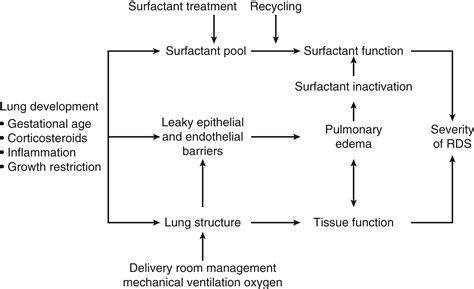 Pathophysiology Of Respiratory Distress Syndrome Clinical Tree