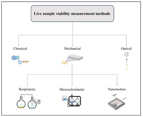 Reviewing Living Sample Viability Measurement Methods Biosensors Mdpi Posted On The Topic