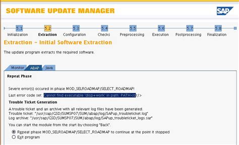 Can Not Find Executable Dispwork In Path Sap Community