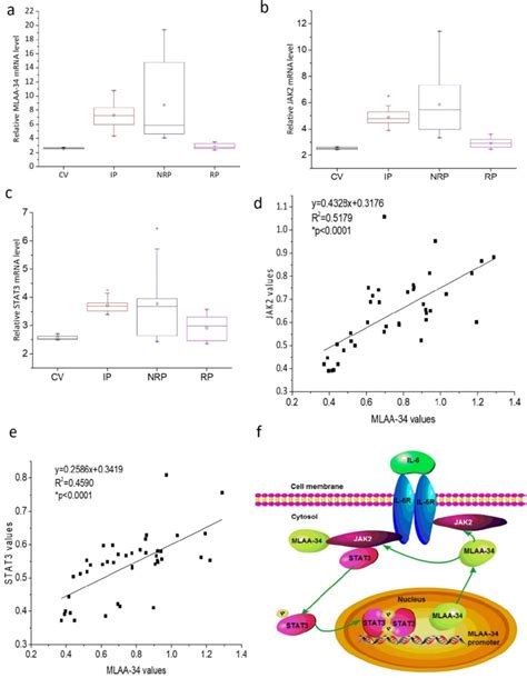 mlaa 34 expression is variable and is positively correlated with