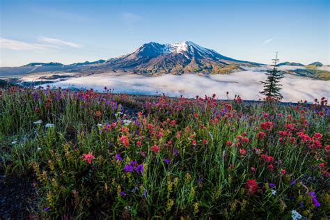 Mount St Helens Elopement Guide Mount St Helens Elopement