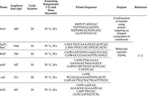 Primer Sequences Anticipated Amplicon Size And Amplification