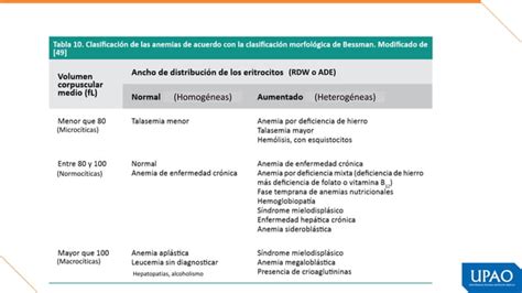 Presentacion Sobre Los Tipos De Diferentes Macrofagos Y Hemoglobina Pdf