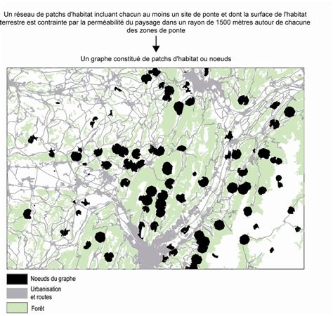 Le Graphe Résultant De La Simulation Par Surface De Moindre De Coût Et