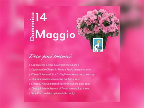 Mercogliano Ritornano Le Azalee Dellairc