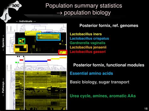 Ppt Scalable Metabolic Reconstruction For Metagenomic Data And The Human Microbiome Powerpoint