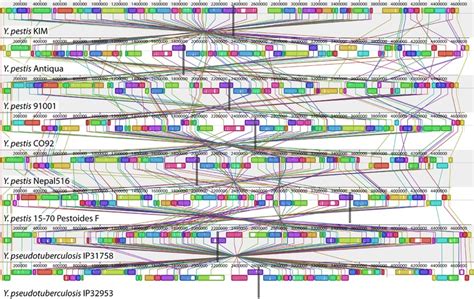 Gene Mapping Holds Promise For Arctic Residents Researchers