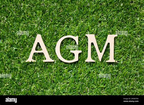 Wood Alphabet Letter In Word Agm Abbreviation Of Annual General Meeting On Artificial Green
