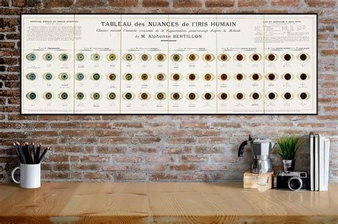 Eye Color Chart Vintage Iris Patterns Human Iris Biology Etsy