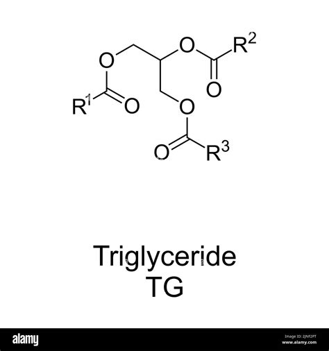 Triglyceride Structure Diagram