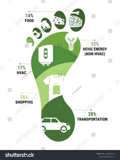 Infographic Carbon Footprint Average Household Wealthy Stock Vector