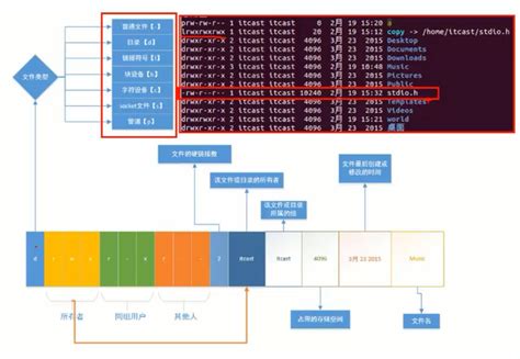 Ls L命令每列信息详解ls L 列出 Csdn博客 Ls L命令每列信息详解ls L 列出 Csdn博客